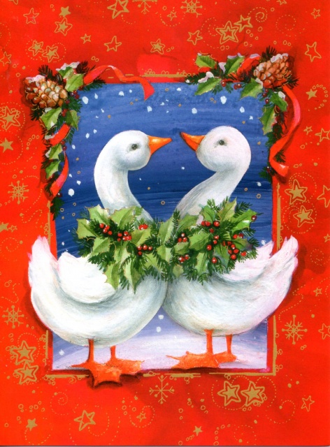 Christmas Geese Christmas Card Set - LoveChristianBooks.com