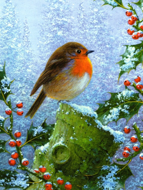Winter Robin Christmas Card - LoveChristianBooks.com