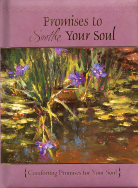 Promises to Soothe Your Soul - LoveChristianBooks.com