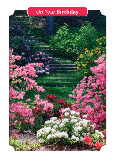 On Your Birthday - Flower Garden Greetings Card - LoveChristianBooks.com